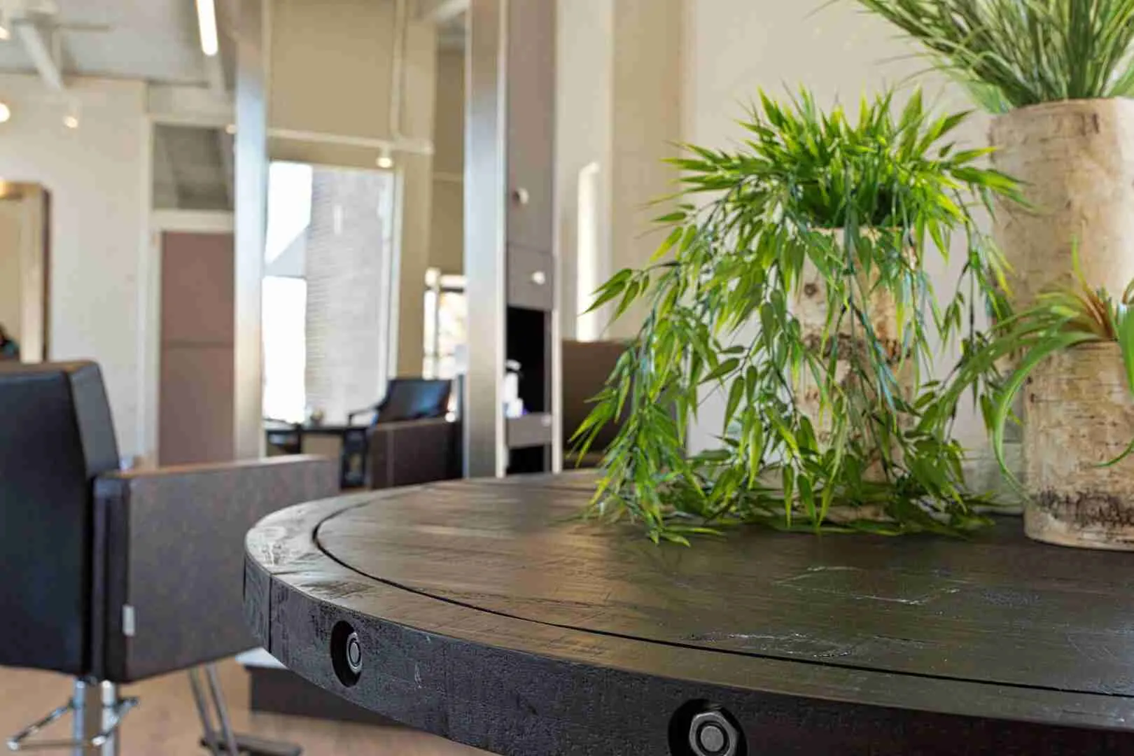 Elle Salon & MedSpa | Hair Salon & MedSpa in Reading, MA